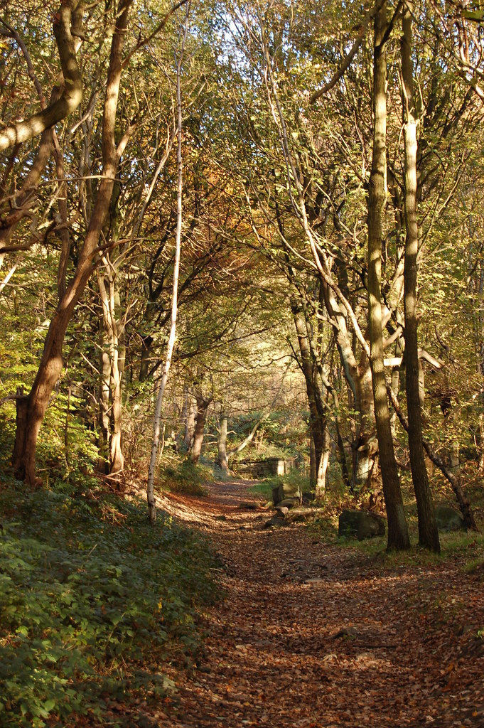 Trail below Wharncliffe Crags | Leading to the Trans Pennine… | Flickr