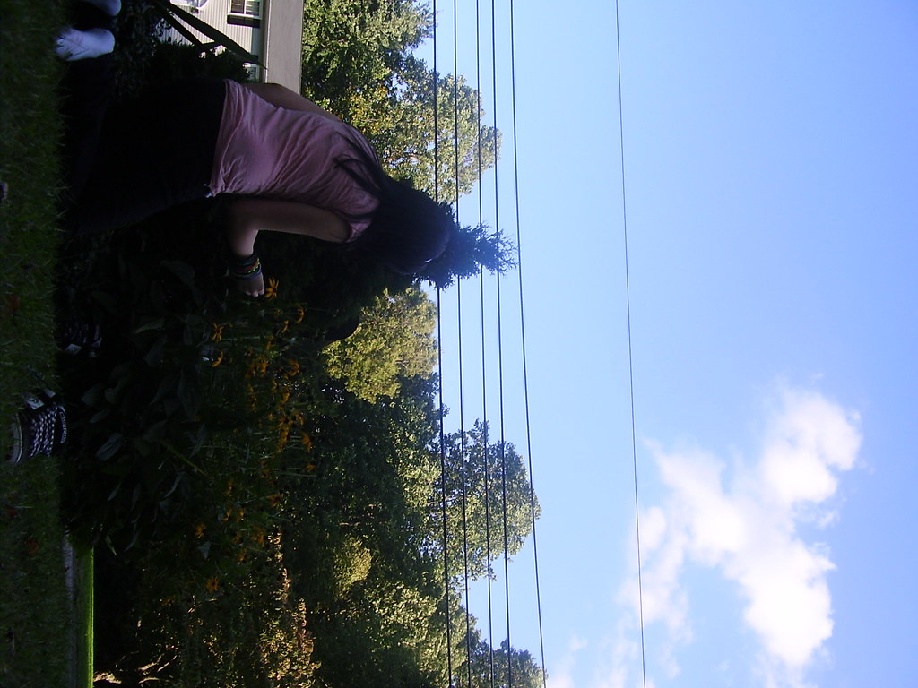P9200187 Notronxkt26 Flickr