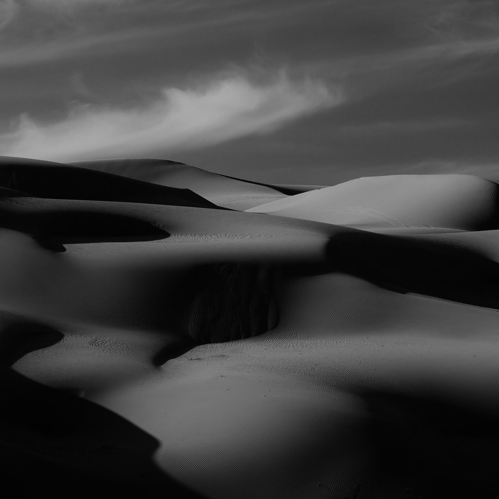 Settling Shadows