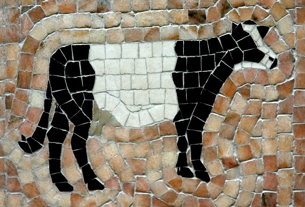 Mosaic Cow | Thomas Hawk | Flickr