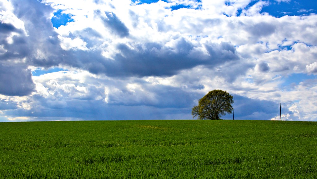 Springtime in the Country | Norbert Clausen | Flickr