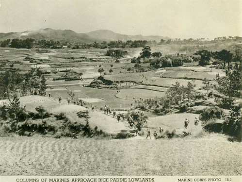 Okinawa USMC Photo 16-3 | "Columns of Marines approach rice … | Flickr