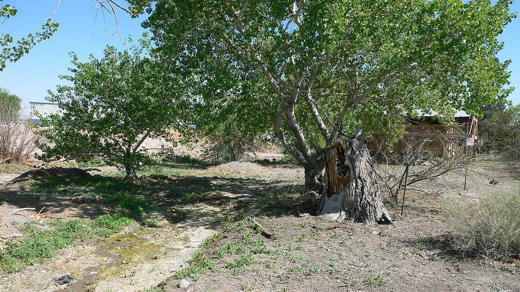 Keil/Kyle Ranch Remains - a photo on Flickriver