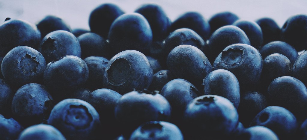 Blueberries in cool blue tones: a close-up macro photograph