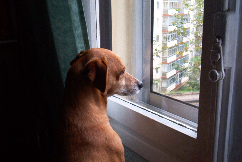 Rusty | Flickr