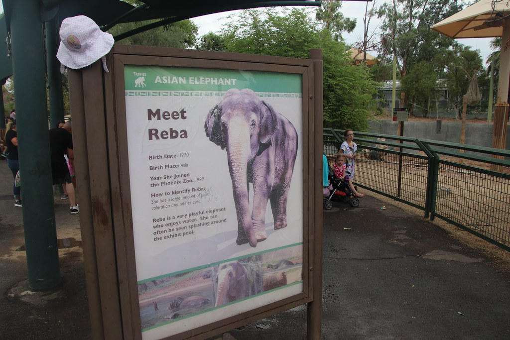Meet Reba: Asian Elephant Signboard at Phoenix Zoo During Winter in July, July 14, 2018