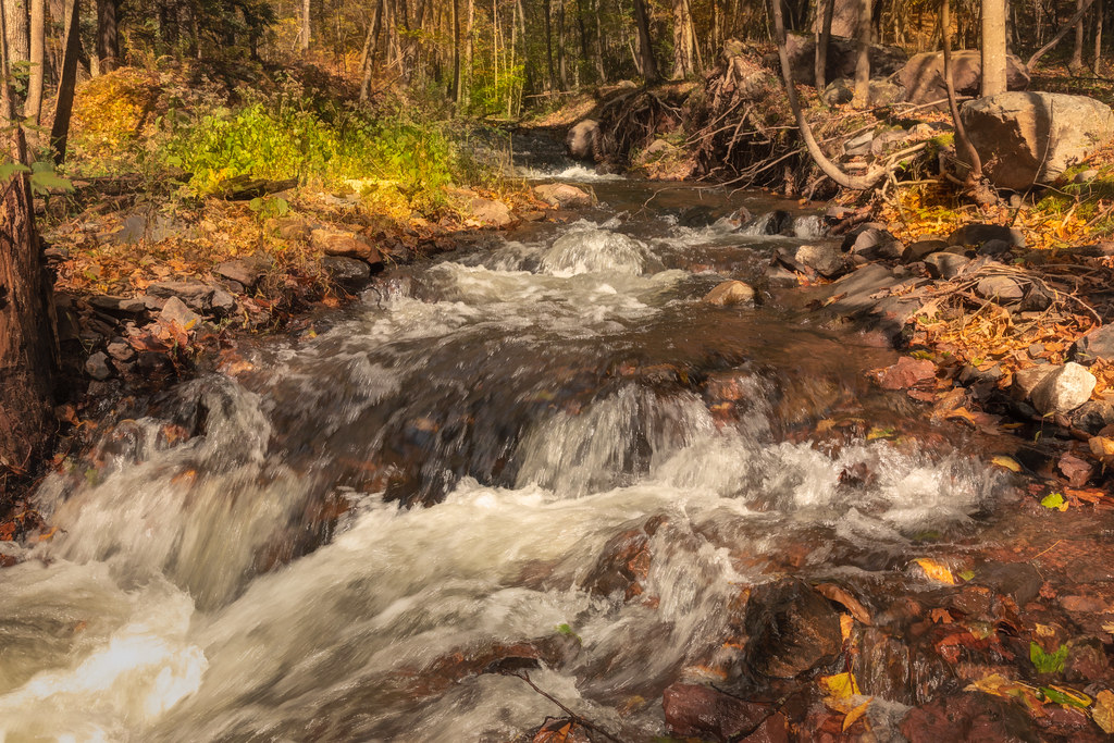 Autumn Stream.jpg