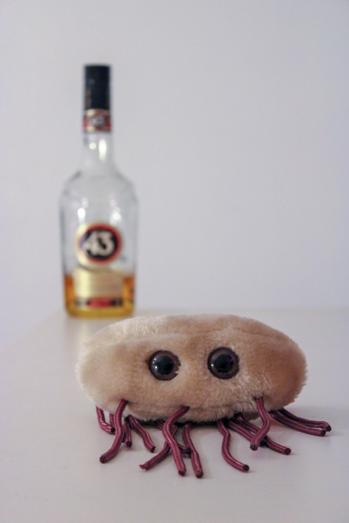 Beige jellyfish plush in sharp focus, with blurred bottle backdrop