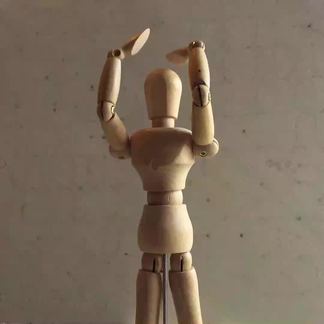 Animation Flickr