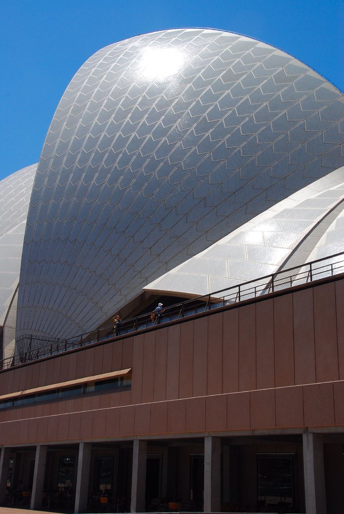 Is It a Hump-Backed Whale or the Sydney Opera House? | Flickr