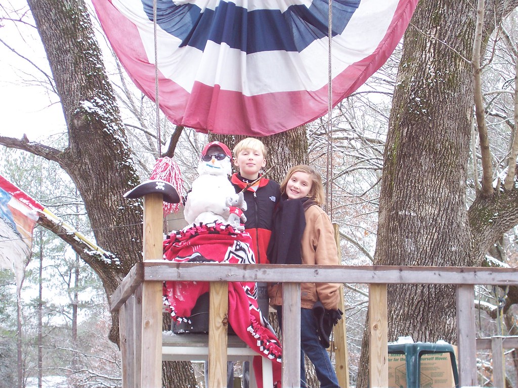 Alabama Snowman enjoying a treefort....Birmingham 280 area… | Flickr
