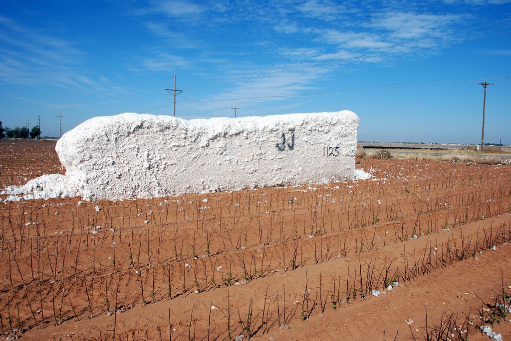 Mo Cotton Crop Modules West Texas Bales Field | Lubbock, Tex… | Flickr