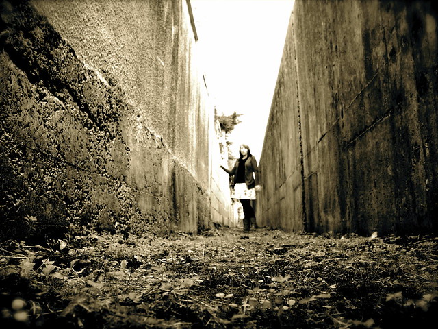 Ariel Flickr