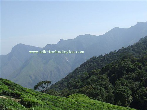 Kuttikkanam beauty | place in kerala near kuttikkanam, nice … | Flickr