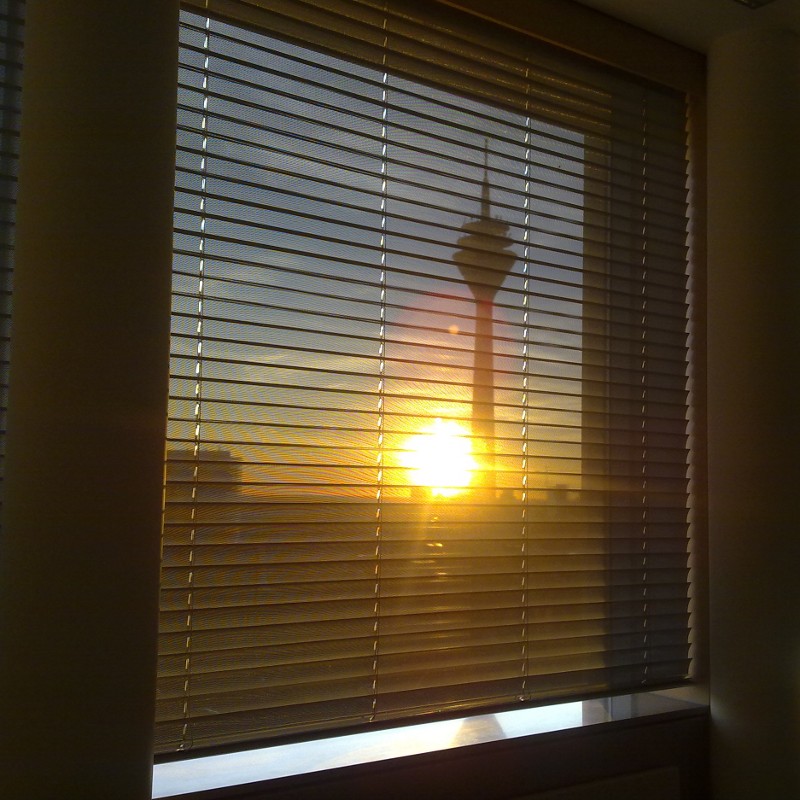 sunny evening in the office - a photo on Flickriver