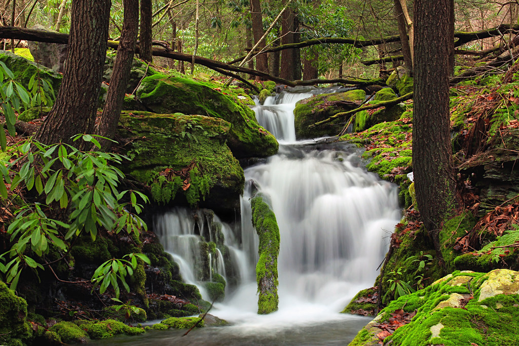 Fall Creek (Revisited) (1) | One of several waterfalls on Fa… | Flickr