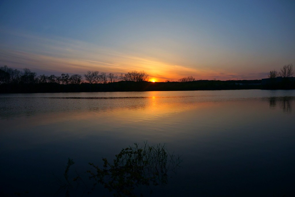 Sunset over a quiet lakeshore with tree silhouettes along the horizon