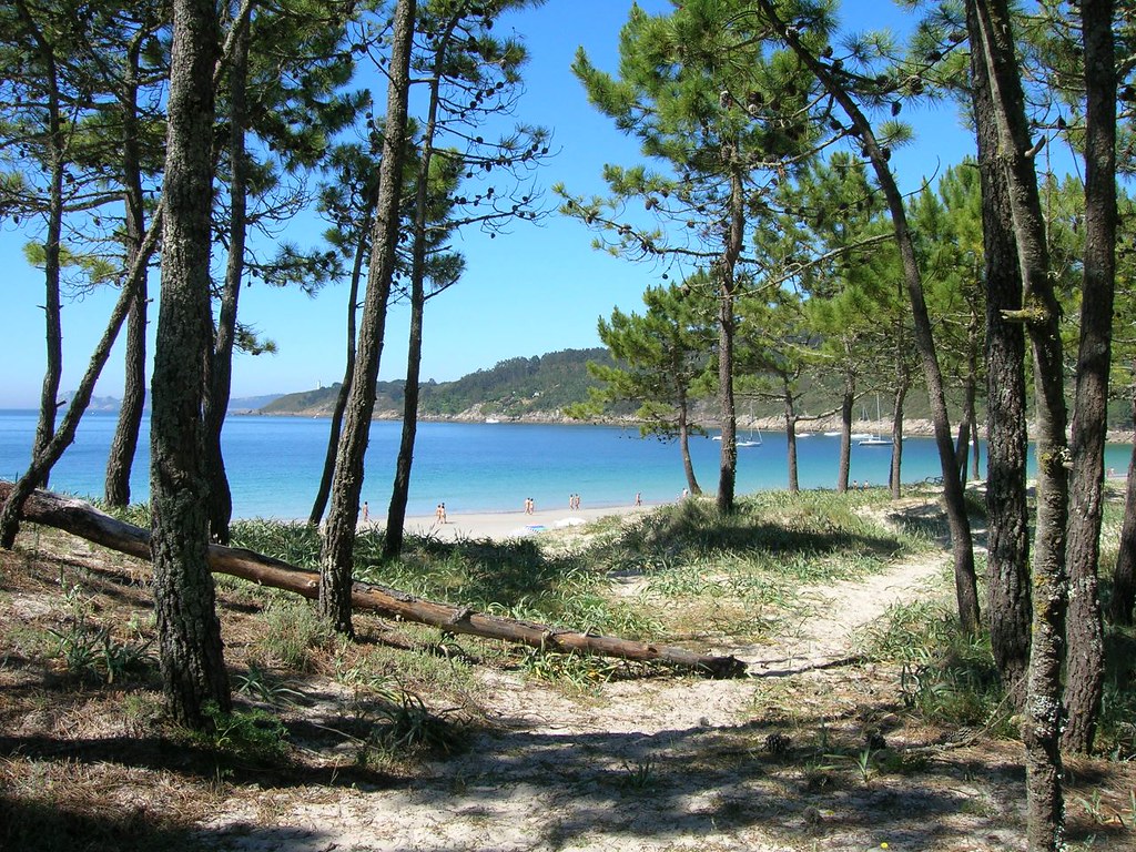 Playa de Barra | Sendero entre pinos y dunas de arena que no… | Flickr