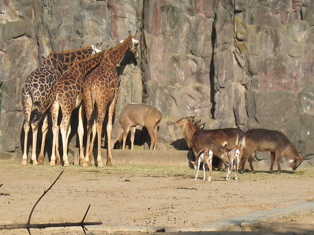 Seoul Grand Park Zoo | Seoul Grand Park Zoo Seoul, Korea | Bryan Hughes ...