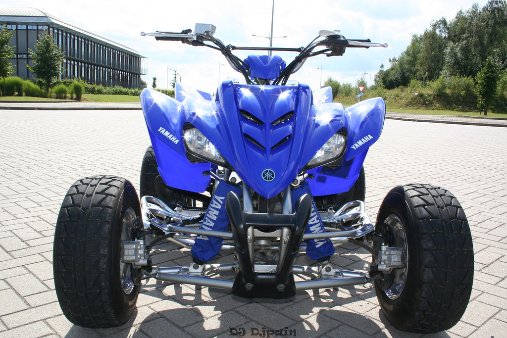 All Years RAPTOR 350 ZANY Yellow Senge Graphics Kit, 59% OFF