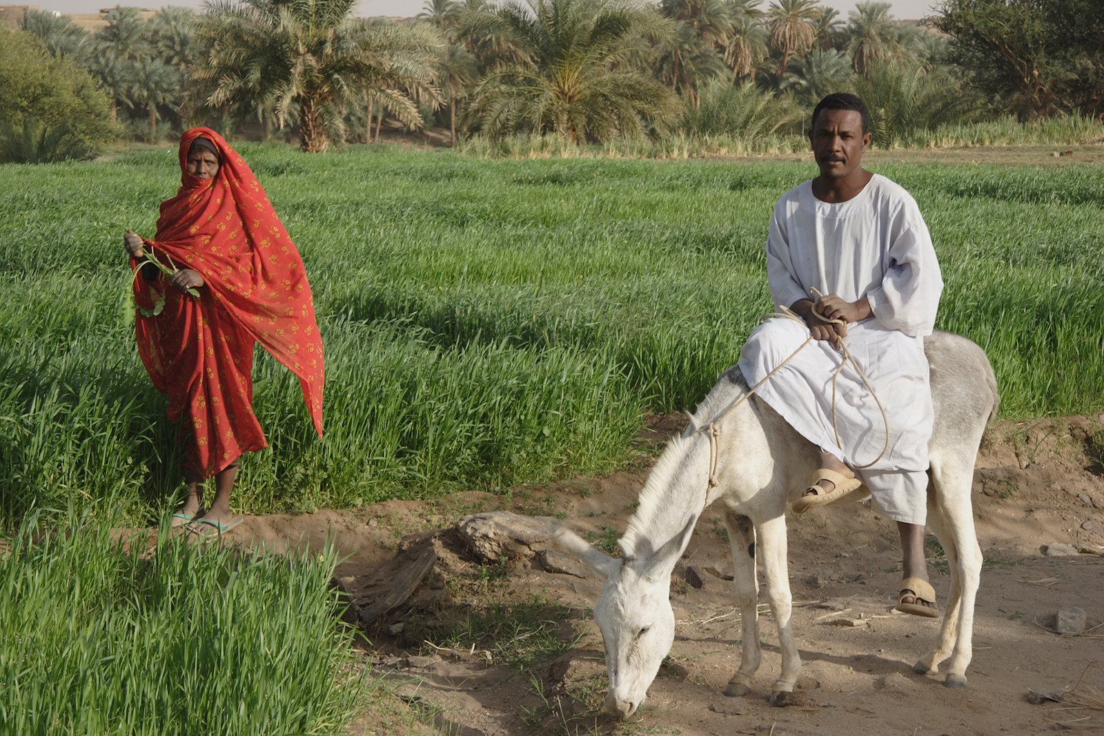 Dar al-Manasir 2005 | Flickr