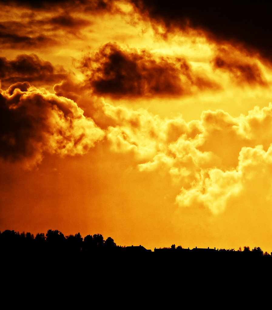 Crimson Horizon: Silhouetted Trees Beneath a Fiery Sunset Cloudscape