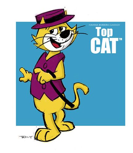 Top Cat With Cat