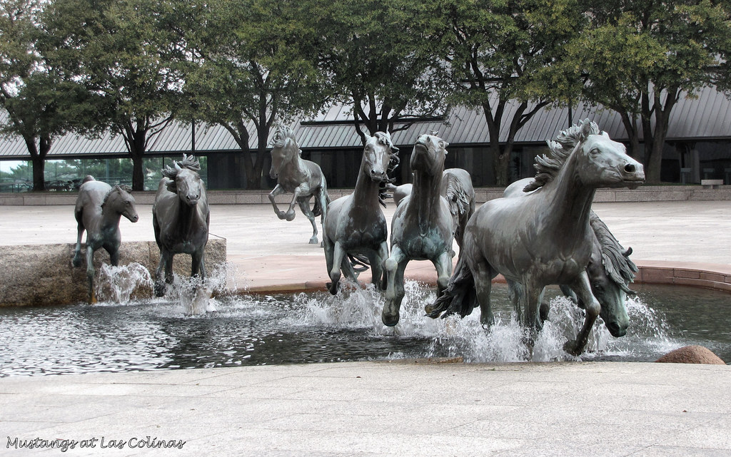 Mustangs | I went to see the Mustangs of Las Colinas! In Irv… | Flickr