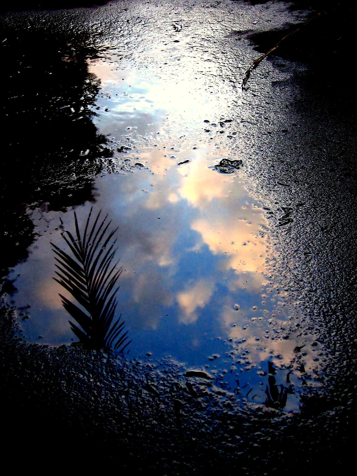 Inspirational Pictures 2 | Flickr