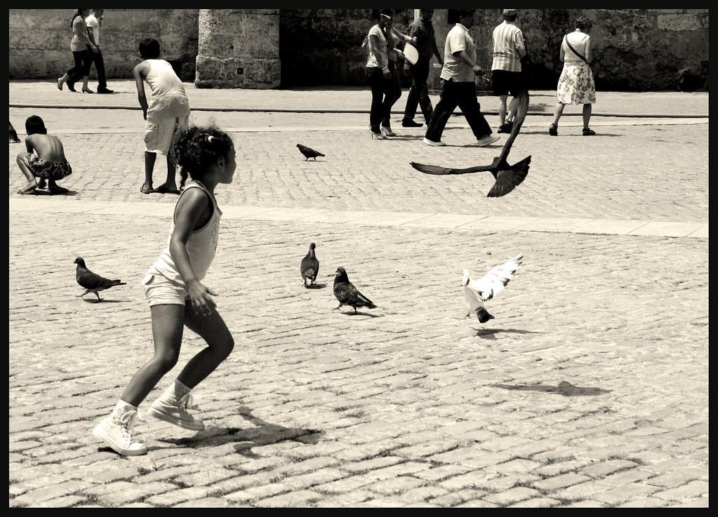 Palomas al vuelo | Esta niña se divertia correteando detras … | Flickr