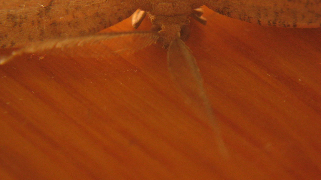 Pic Set 1 035 Dperry7072 Flickr