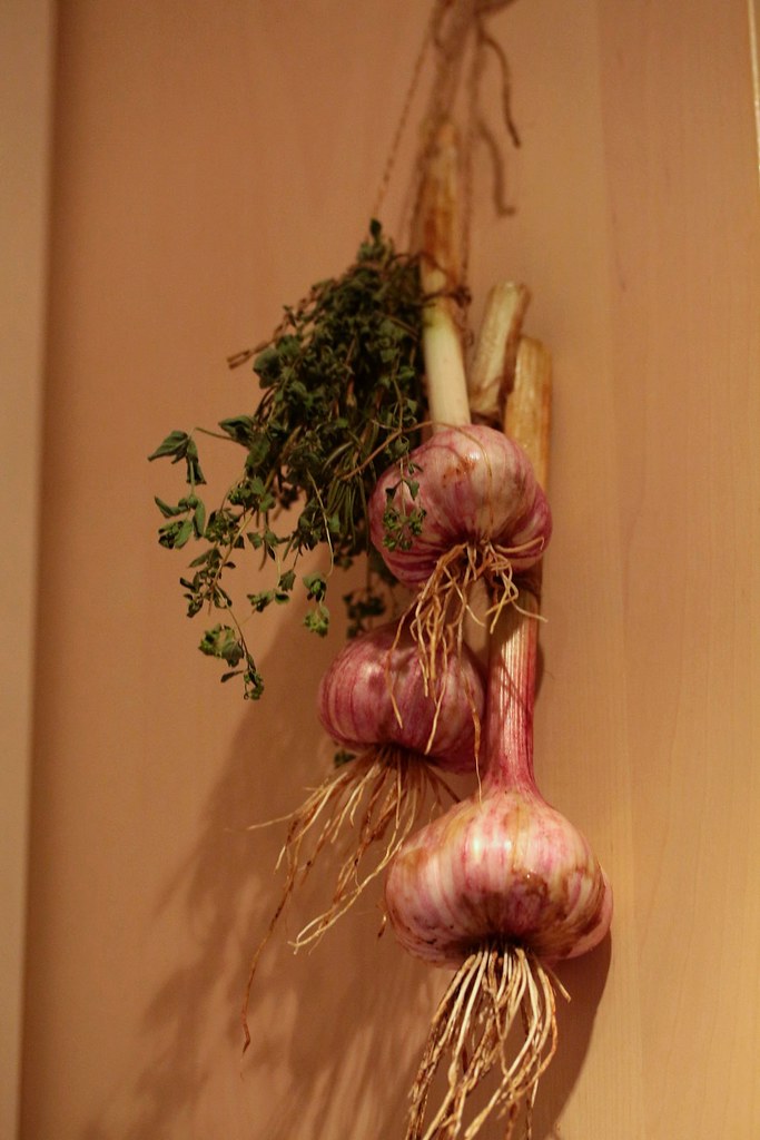Curing Garlic with Thyme: A Rustic Indoor Pantry Still Life