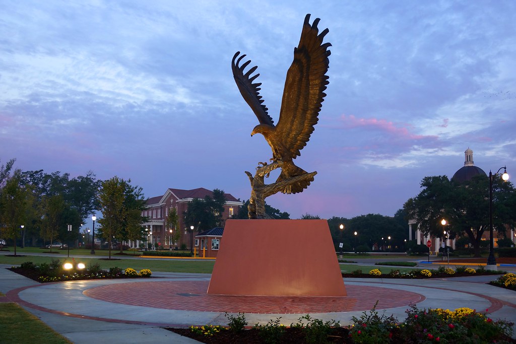 University of Southern Mississippi Eagle | Lonnie Young | Flickr