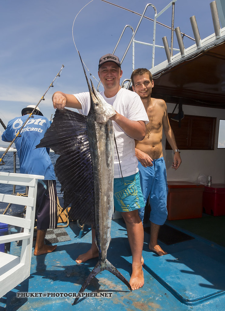 Sailfish hauled aboard a Phuket deep-sea fishing boat between Racha Noi and Racha Yai islands