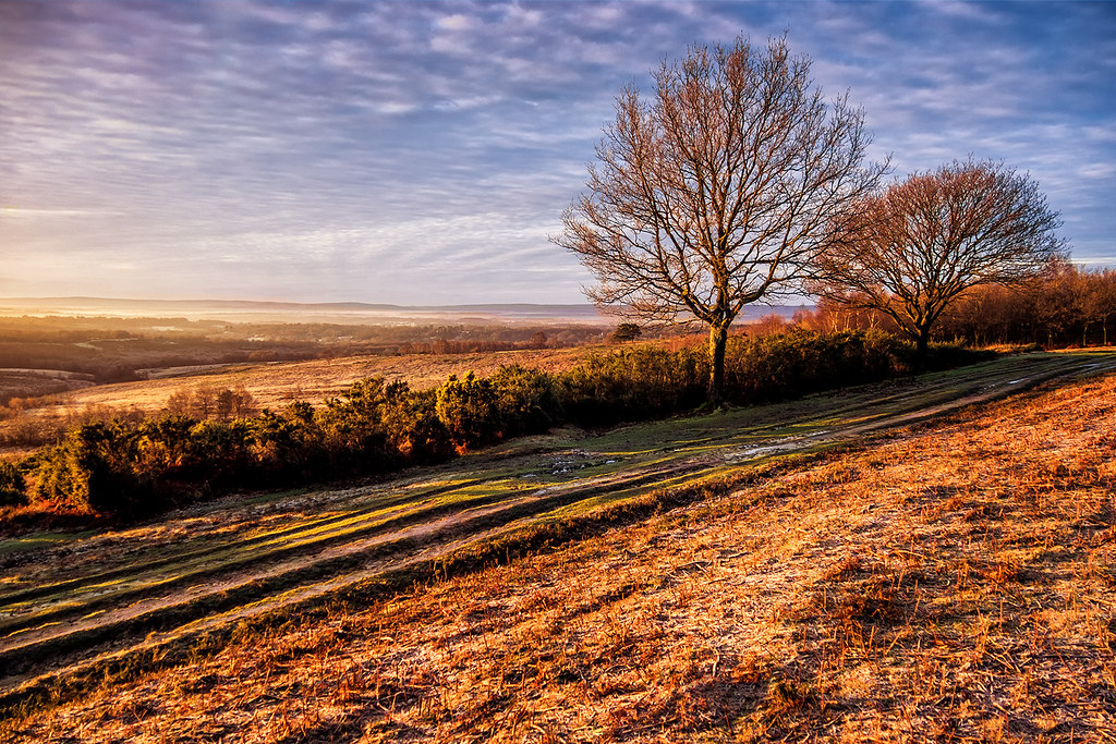 Morning Colour | Sunday morning was a great morning with the… | Flickr