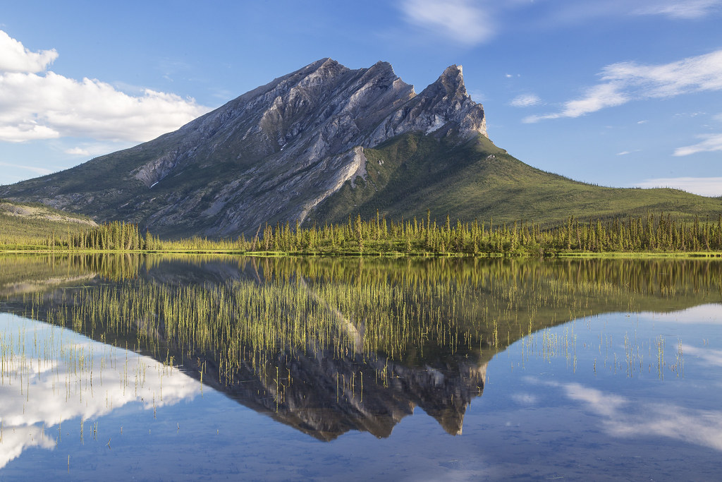 My Public Lands Roadtrip: Mount Sukakpak and its reflection in a tranquil Alaskan lake along the Dalton Highway