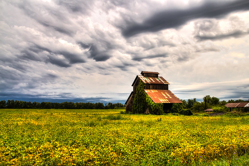 Late Summer Storm | The soybean field surrounding this aband… | Flickr