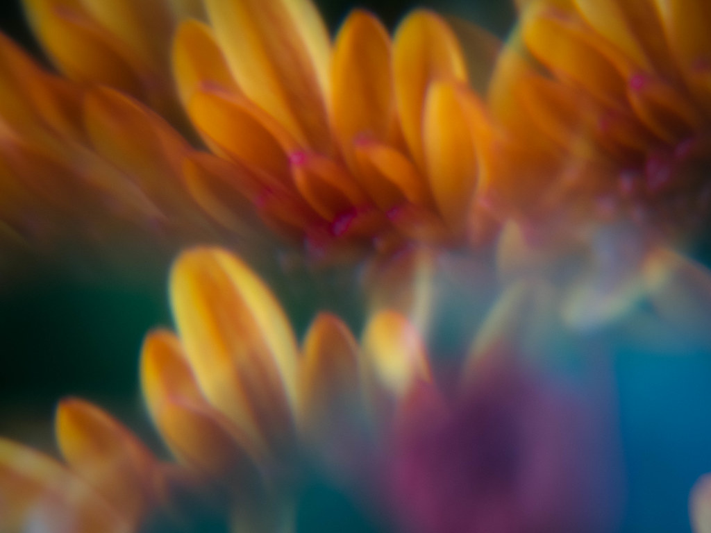 Prismatic Petals: Abstract Orange Macro Seen Through Translucent Crystal Refractions