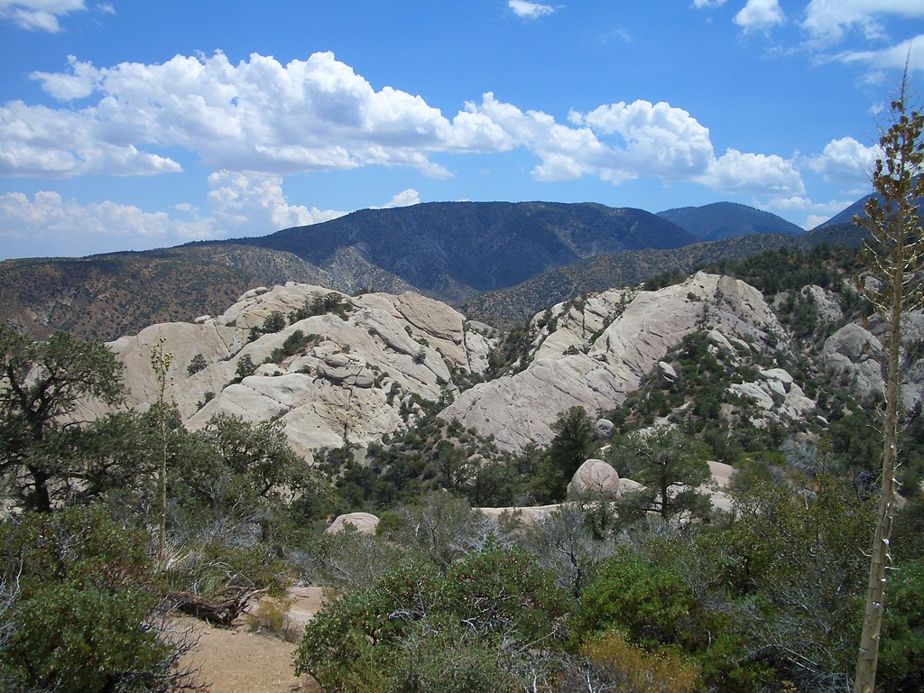 Are Dogs Allowed In Angeles National Forest
