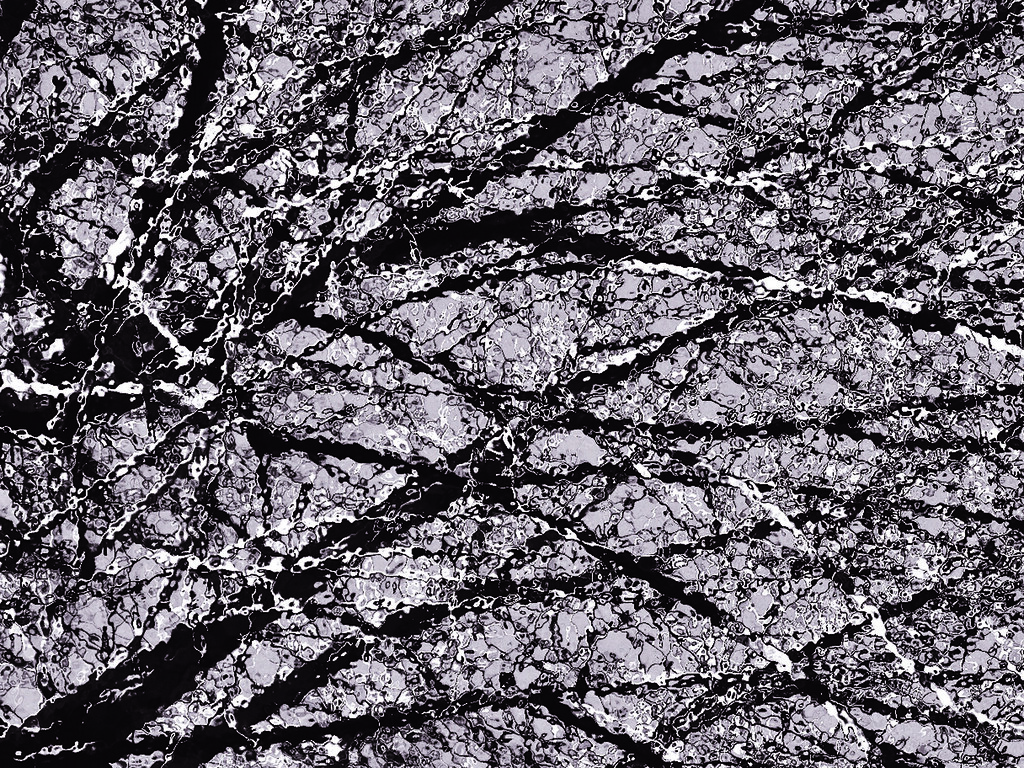 branches background texture patterns | Flickr