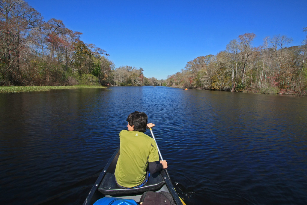 Withlacoochee River, Potts Preserve, and Half Moon-Gum Slo… | Flickr