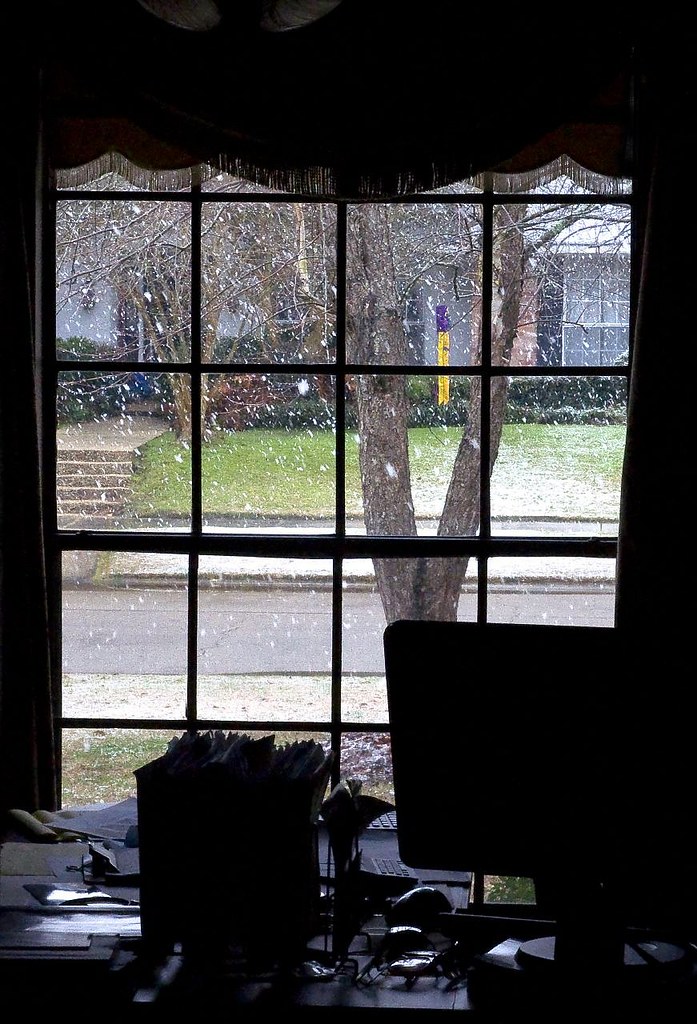 SNOW WINDOW | Outside my window. | Gary Jones | Flickr