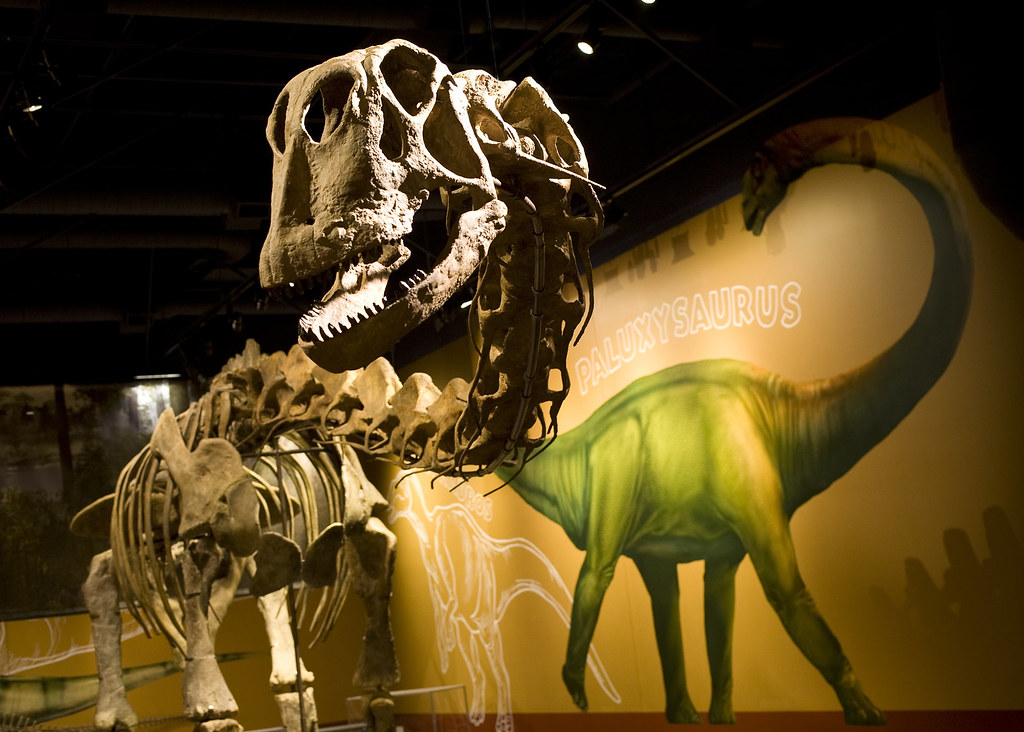 Paluxysaurus jonesi | The world's first skeletal mount of Pa… | Flickr