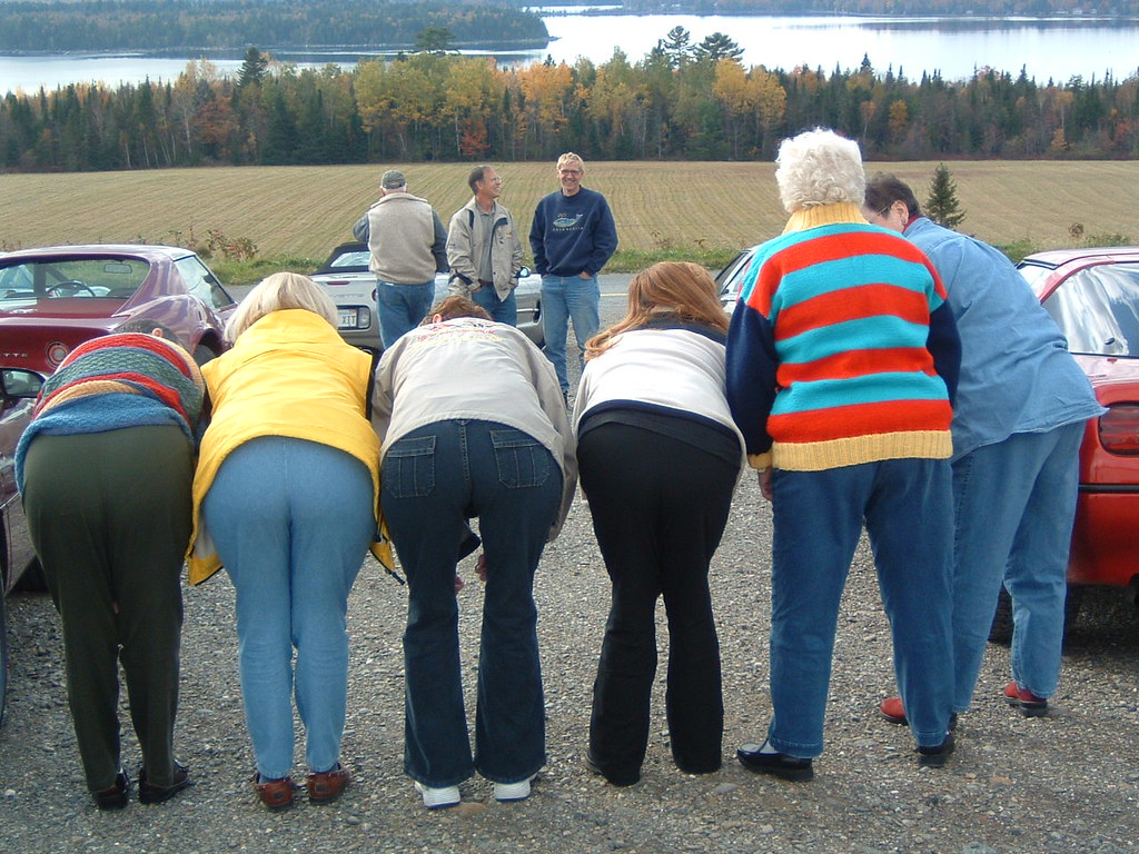 Not those rear-ends ! | We were disgussing which car had the… | Flickr