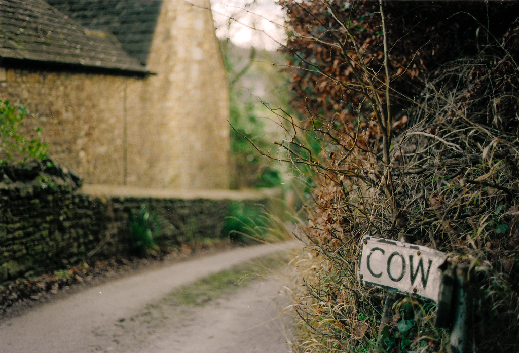 cow lane 35mm | Olympus Om-1md Kodak Ultramax 400 | phil Tomlinson | Flickr
