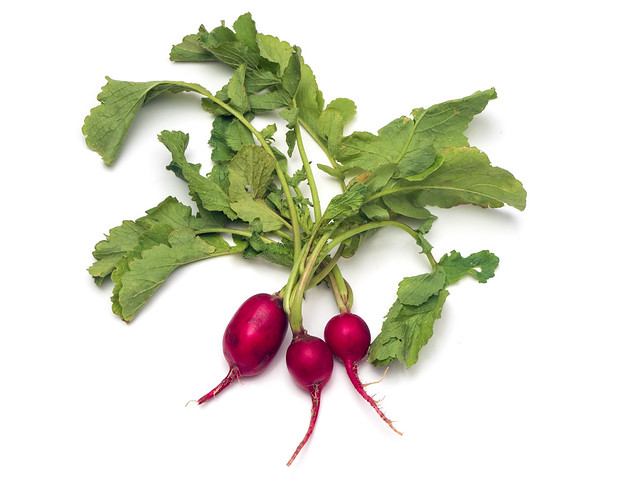 Red radishes with green leaves on a white background, arranged in a small cluster with visible roots.