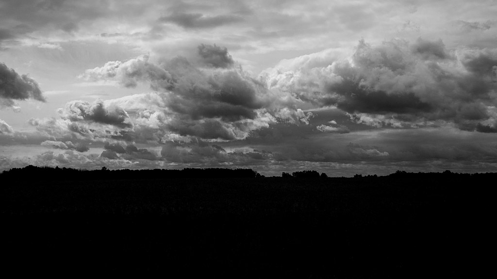 Monochrome Sky Over a Silhouetted Woodland Horizon