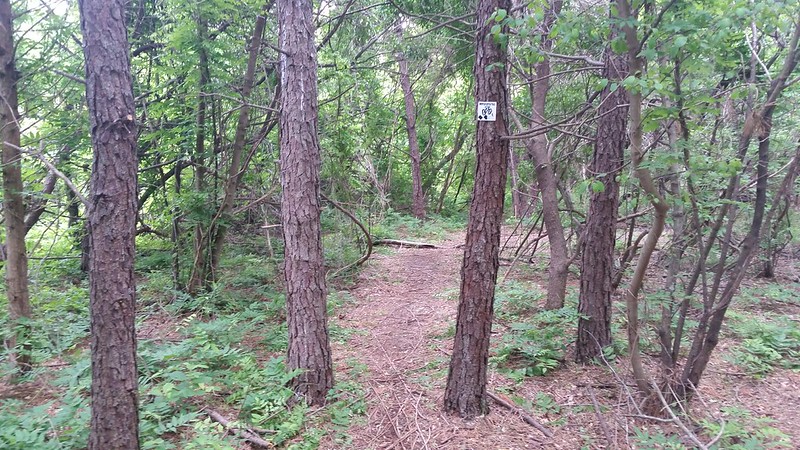 David Overton Trail | Flickr