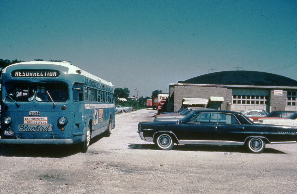 Blue Bird Coach Lines 139 8-1964 - a photo on Flickriver