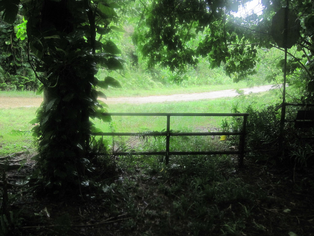 Picture from the Anao Trail on Guam | This is a picture from… | Flickr